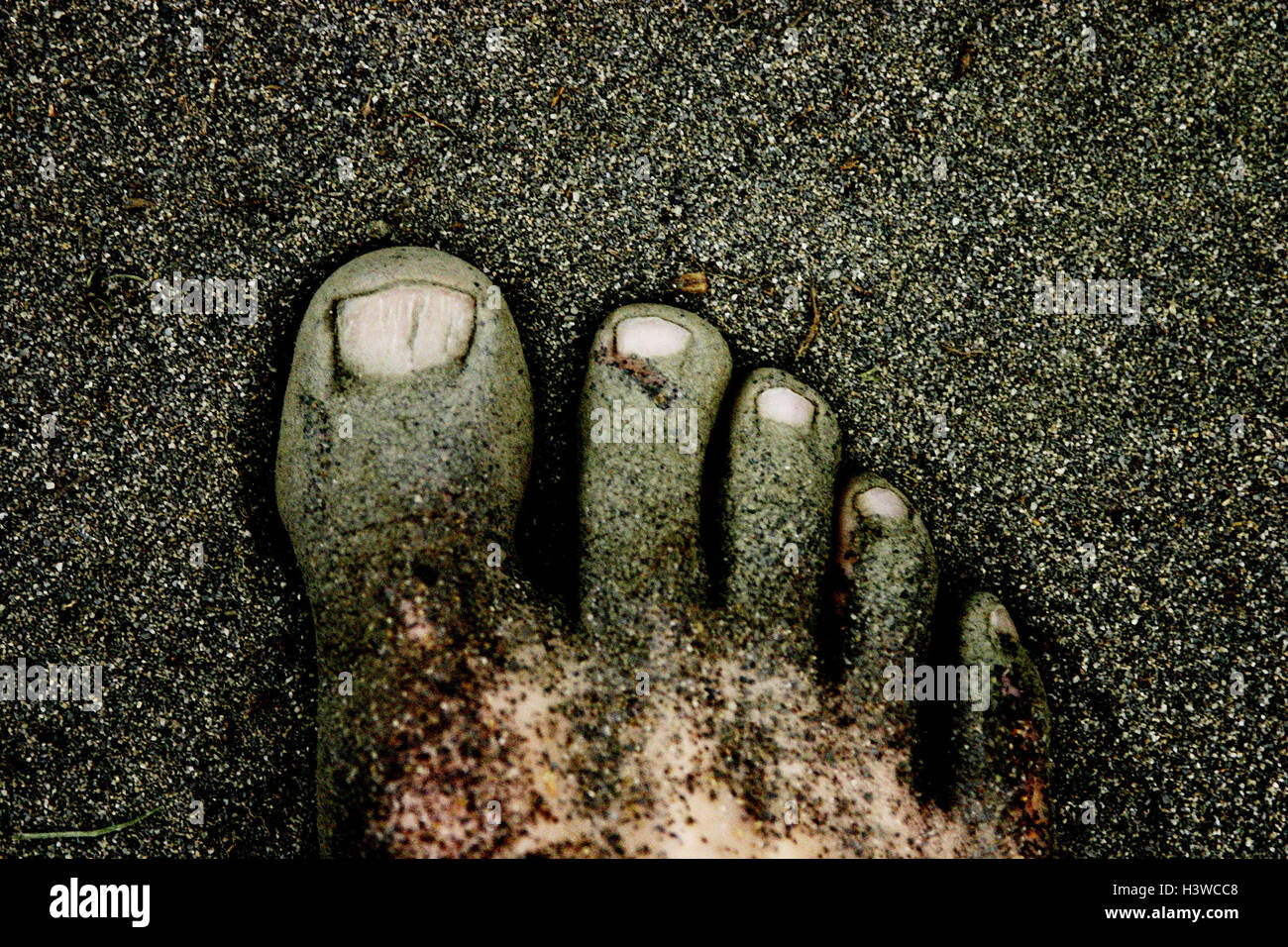 Dort verschlammt -Fotos und -Bildmaterial in hoher Auflösung – Alamy
