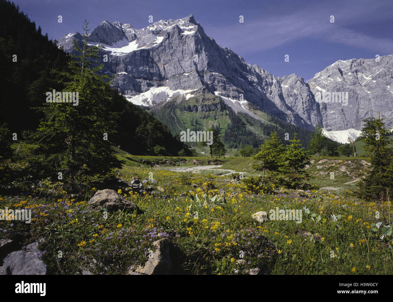 Österreich, Tirol, eng, Schlauch Cirque Punkt im Karwendel, Blumenwiese ...