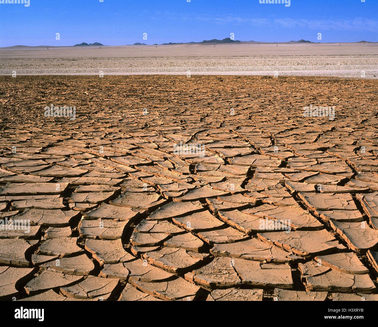 Namibia, Wüste, Boden, ausgedörrt, Fissuren, Afrika, Wüstenlanschaft ...