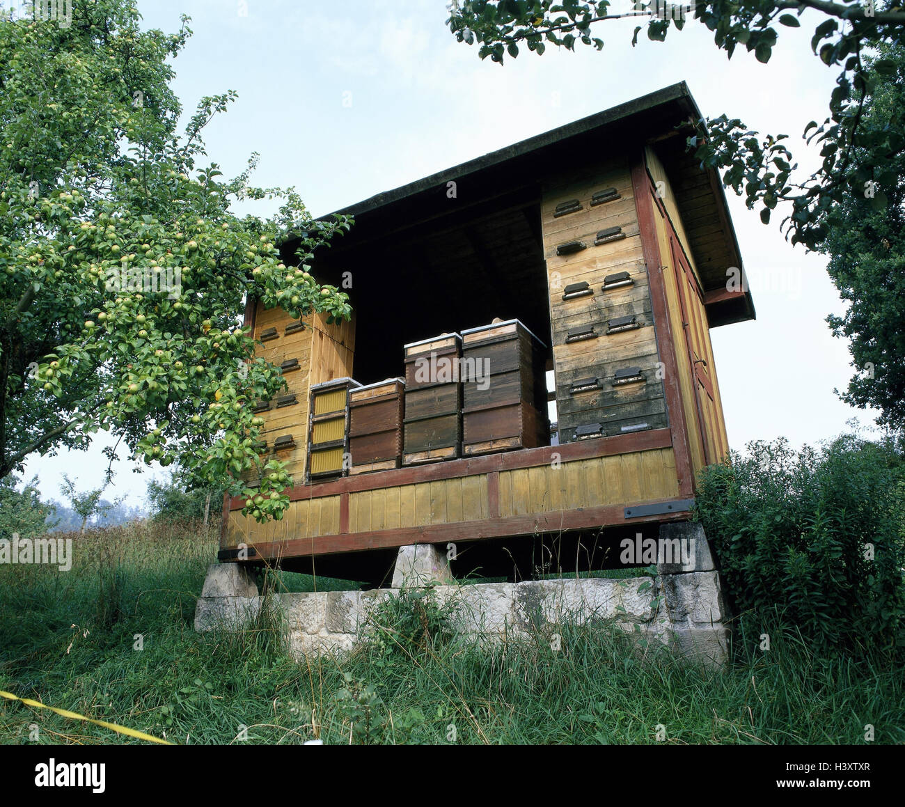 Deutschland, Baden-Wurttemberg, Hohenloher Land, Bienenstock, 1905 ...