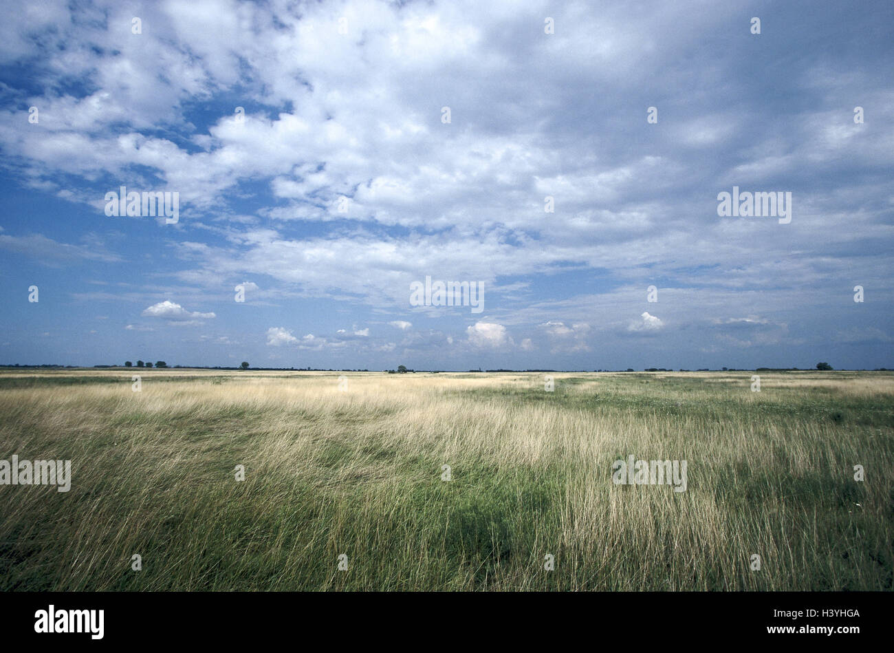 Große ebene -Fotos und -Bildmaterial in hoher Auflösung – Alamy