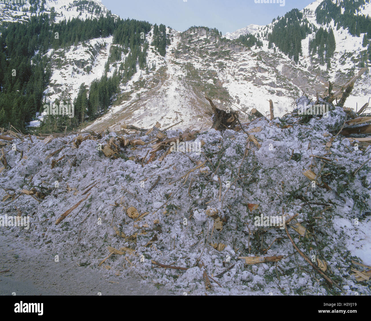 Österreich, Tirol, Stubai, Lawine, unvollendete Bäume, Winter, Europa ...