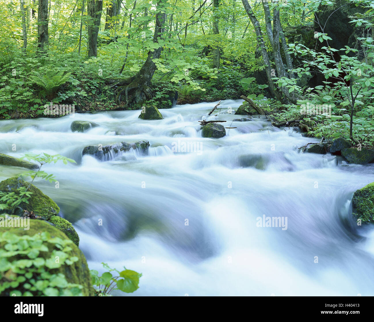 Wald, Bach, Langzeitbelichtung, Holz, Bach, Bergbach, Bergbach ...