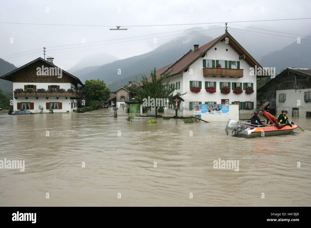 Flut katastrophe katastrophe katastrophe tierwelt -Fotos und -Bildmaterial in hoher Auflösung ...
