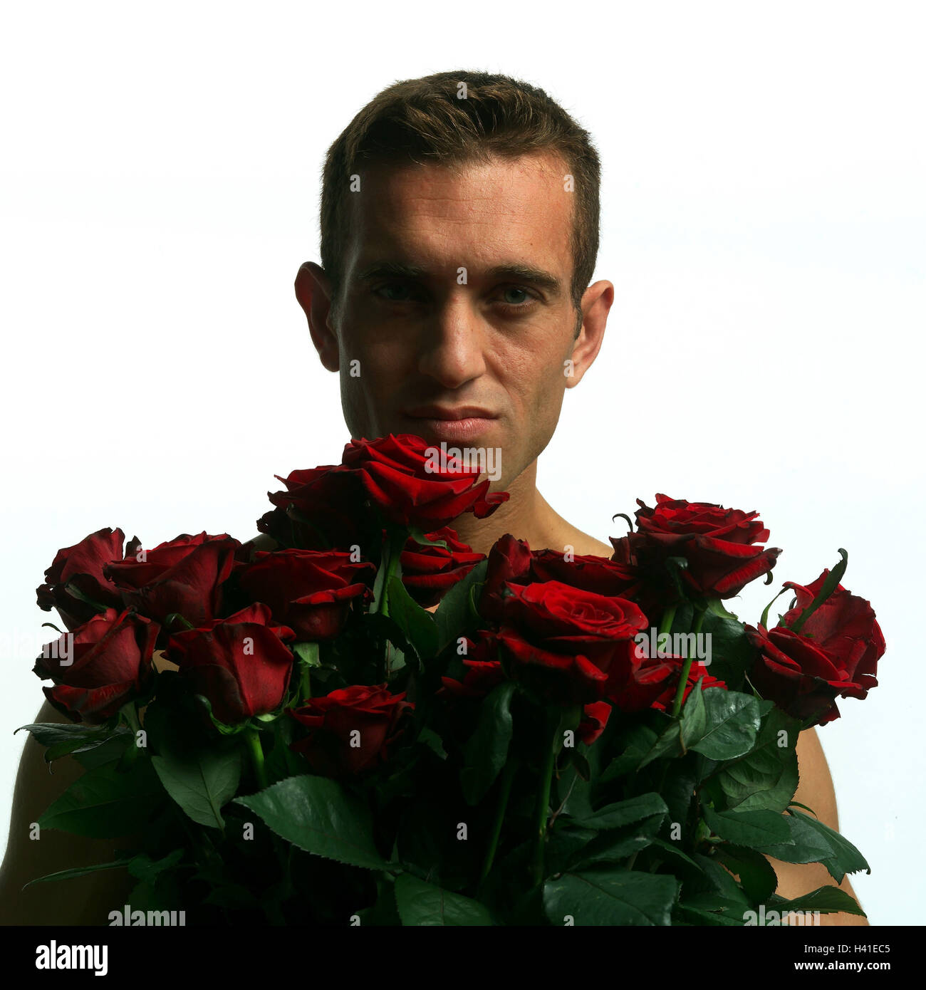 Ritter der rose -Fotos und -Bildmaterial in hoher Auflösung – Alamy