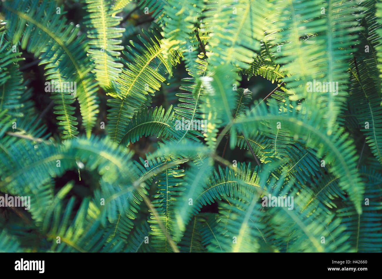 Farne island -Fotos und -Bildmaterial in hoher Auflösung – Alamy