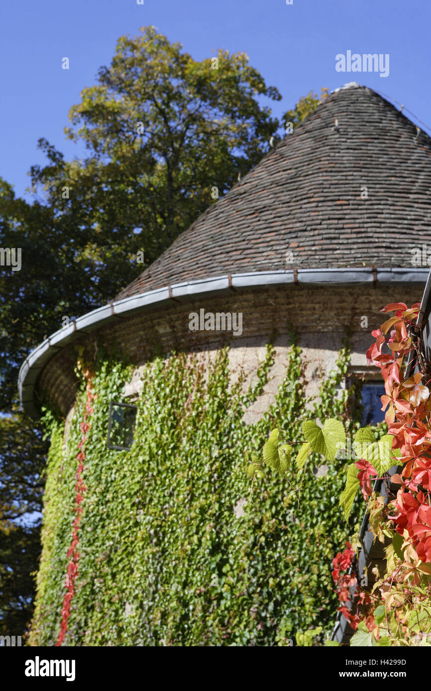 Mit ranken bedeckte wand -Fotos und -Bildmaterial in hoher Auflösung ...