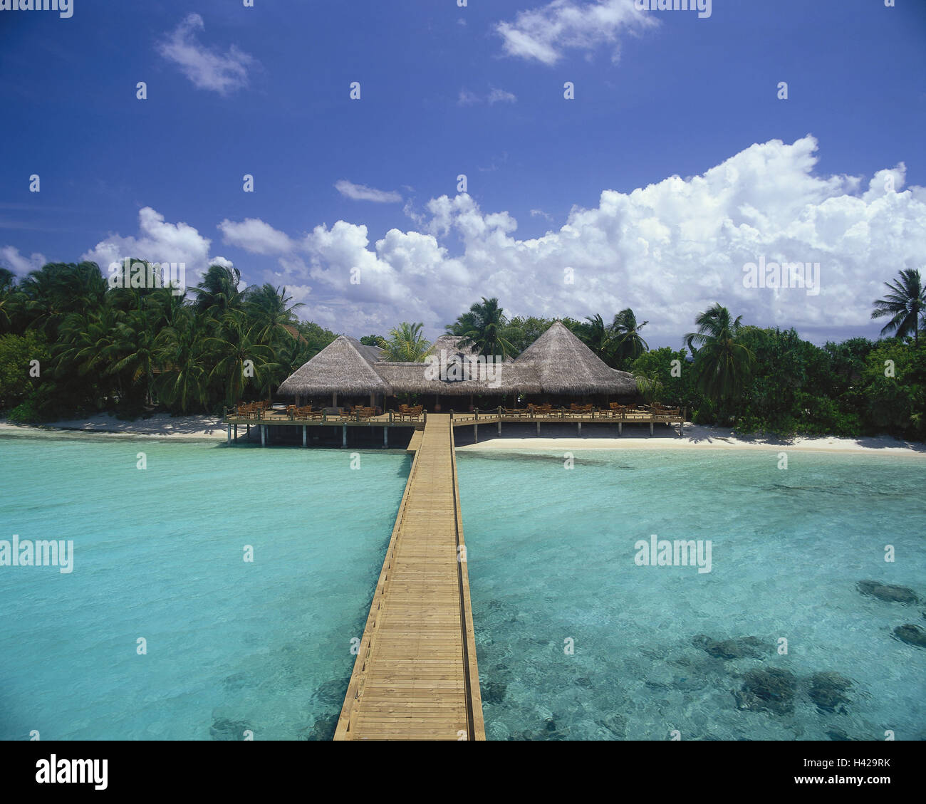 Palmen anlegesteg wasser reisen -Fotos und -Bildmaterial in hoher ...