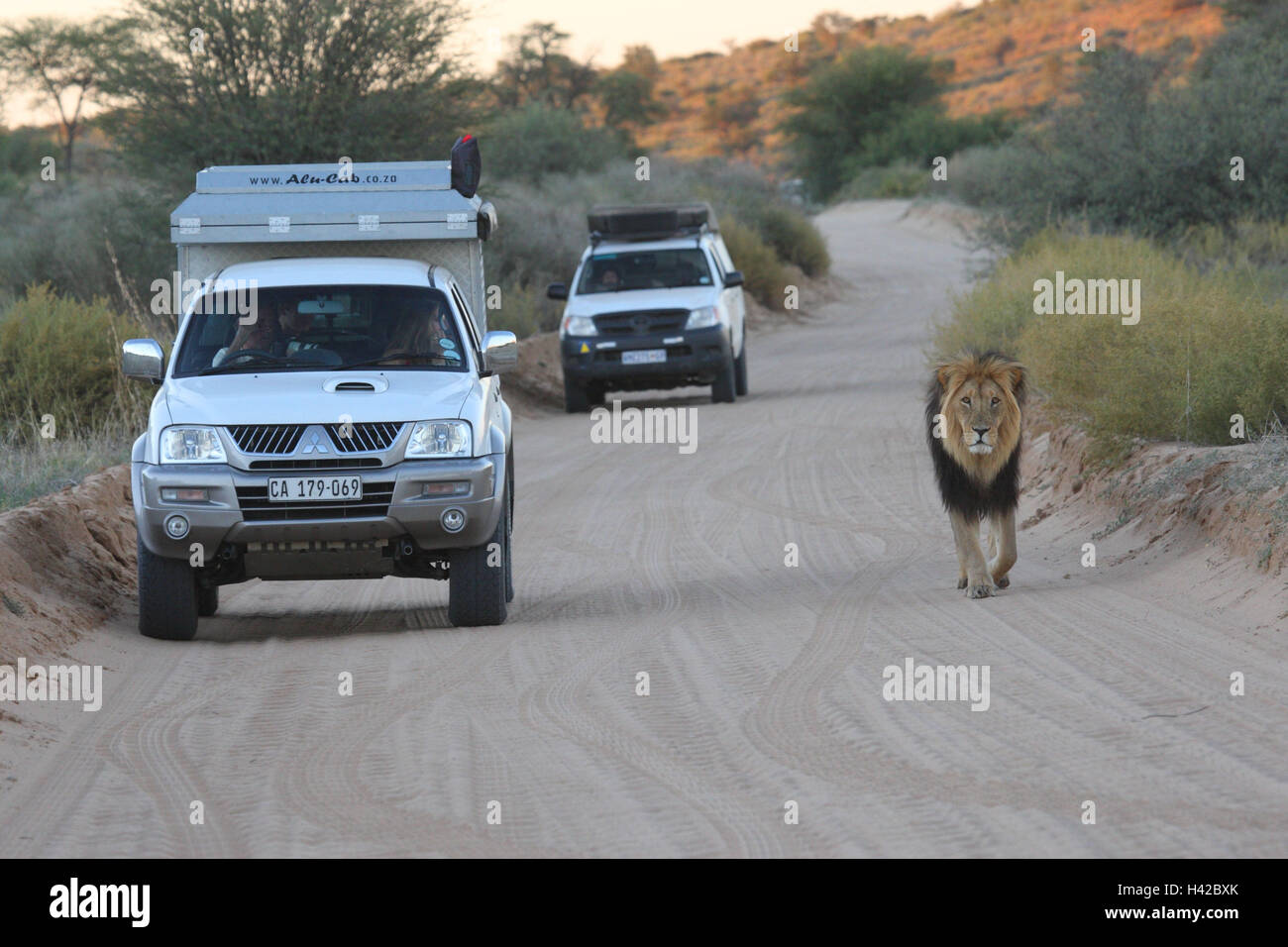 Mann und autos -Fotos und -Bildmaterial in hoher Auflösung – Alamy