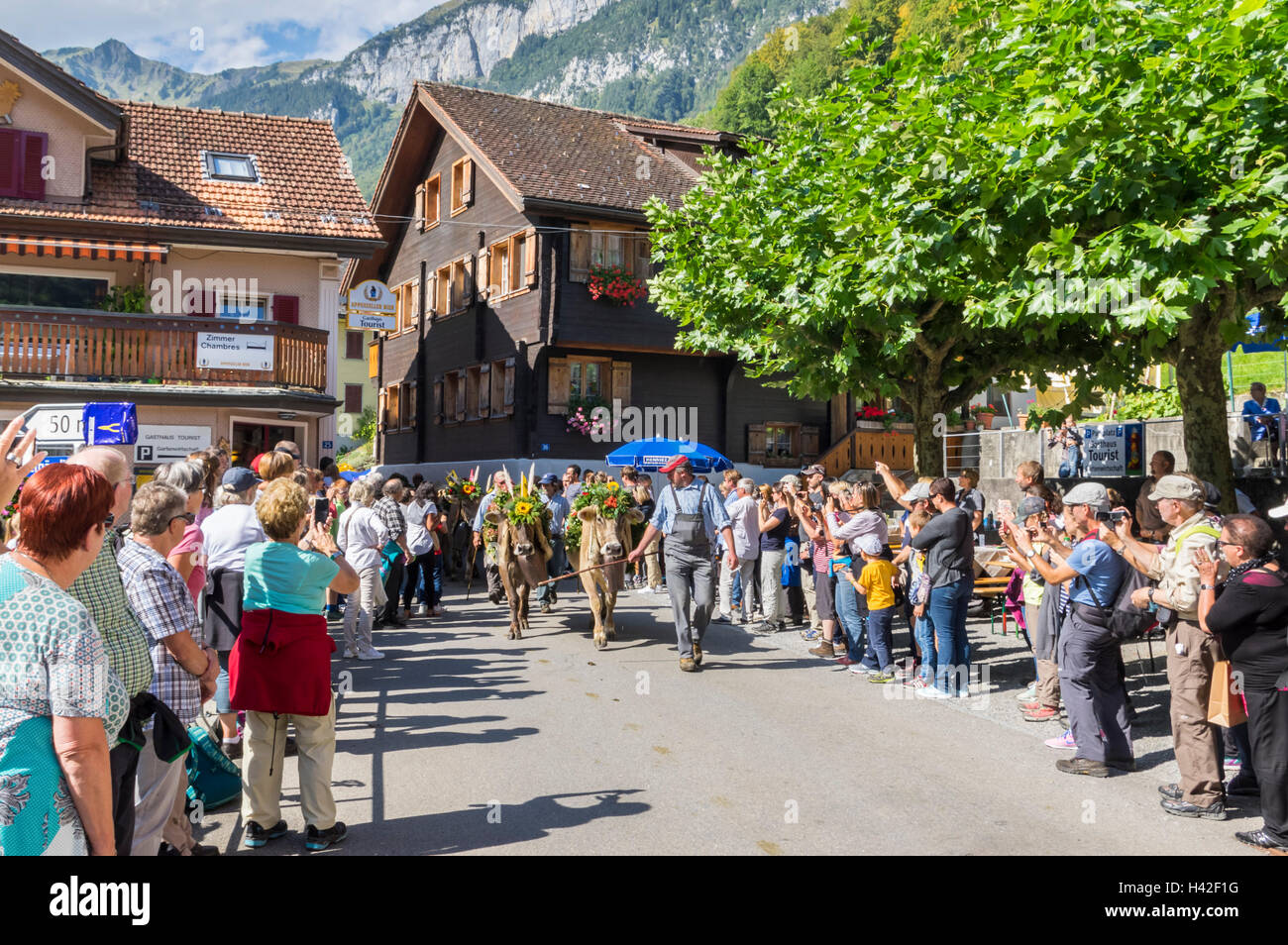 Alpabzug, eine traditionelle alpine Transhumanz Almabtrieb im Herbst ...