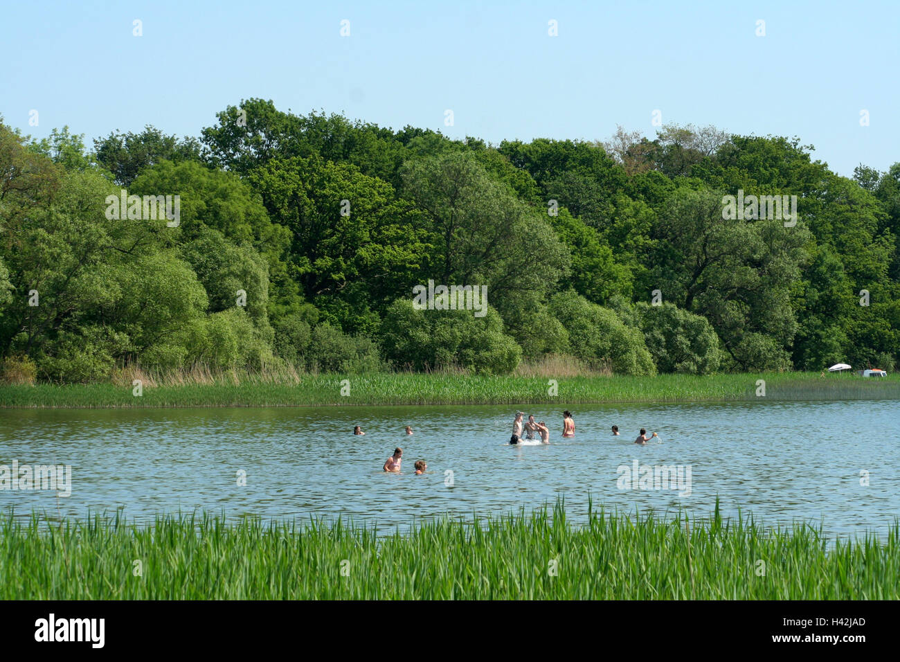 Tollensesee neubrandenburg lake -Fotos und -Bildmaterial in hoher ...