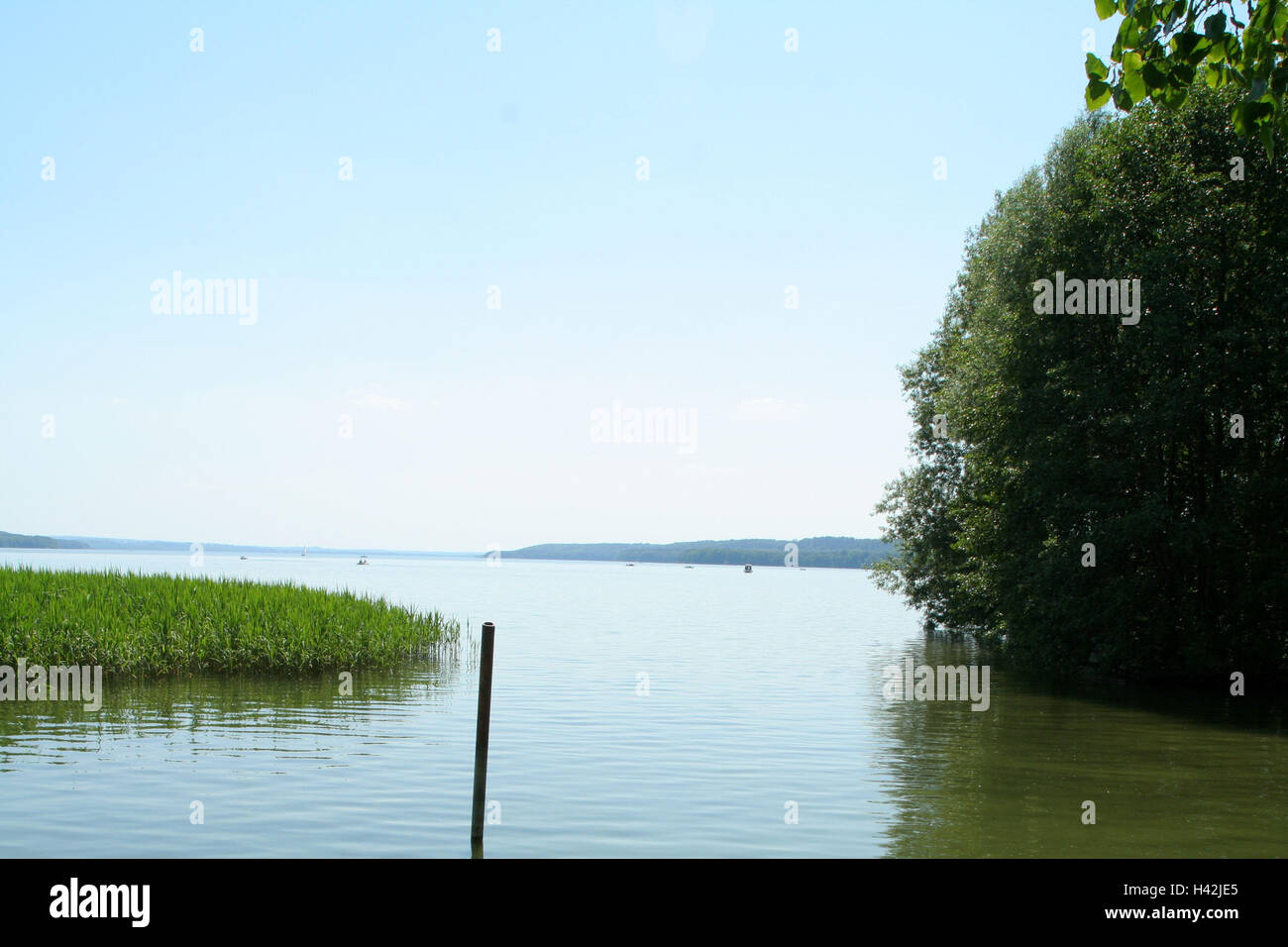 Tollensesee neubrandenburg lake -Fotos und -Bildmaterial in hoher ...