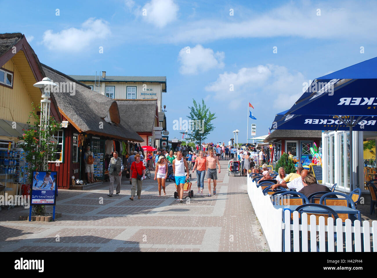 Deutschland, Mecklenburg-Vorpommern, Fischland-Darß-Zingst, Prerow ...