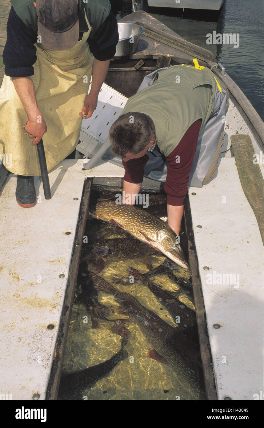 Deutschland, Selenter See, Fischerboot, Männer, Wasser Becken, Hechte ...
