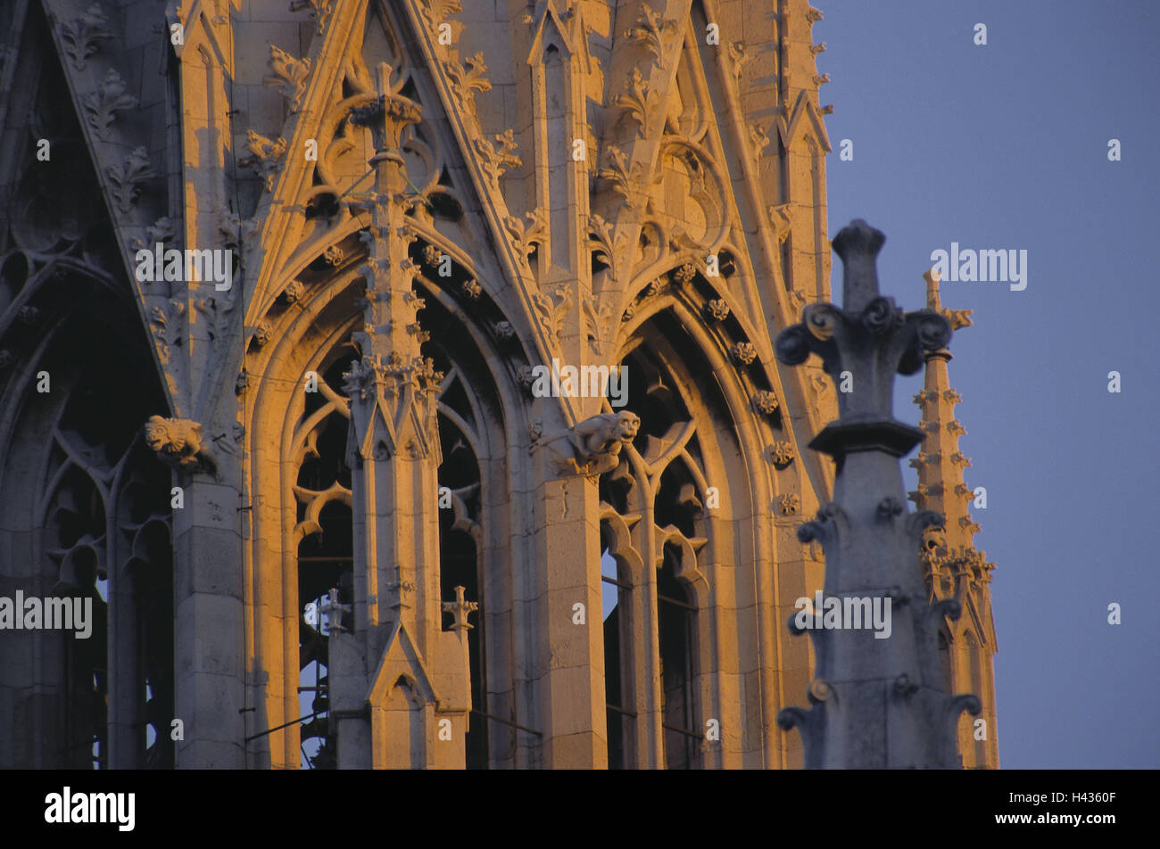 Österreich, Wien, Votivkirche, detail, abends Licht, Stadt, Hauptstadt ...