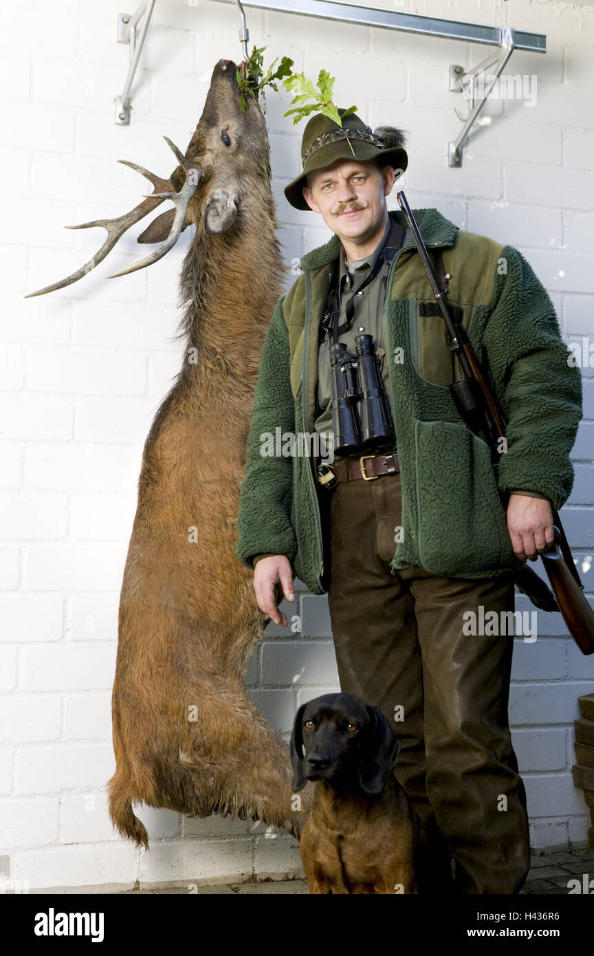 Hirsch, kühlen Raum, hängenden, Hunter, Beute, Schuss, Spiel, Hund ...