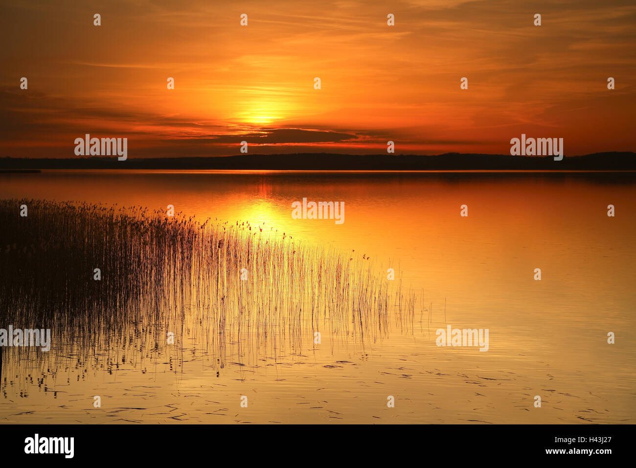 Tollensesee Neubrandenburg Lake Stockfotos und -bilder Kaufen - Alamy