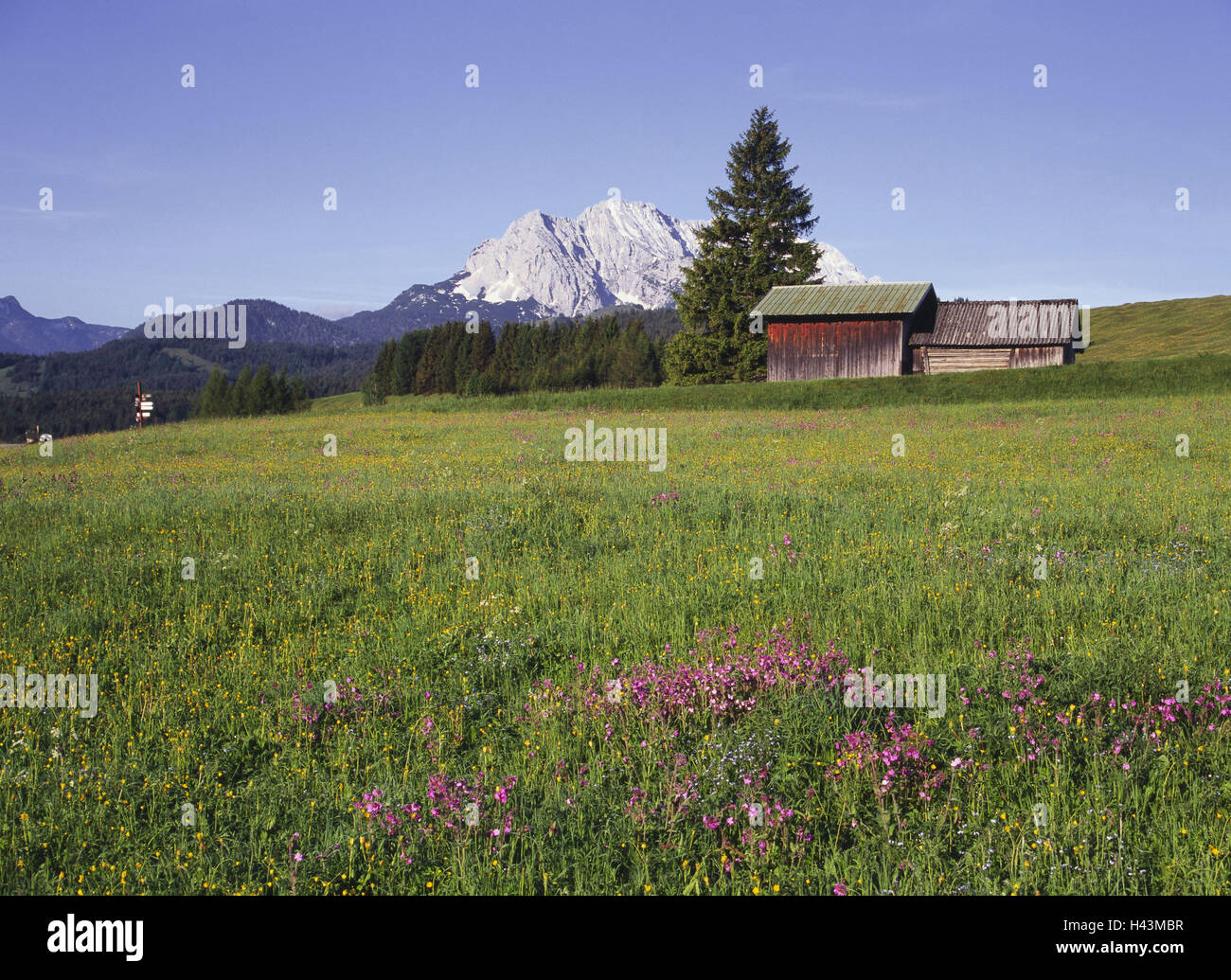 Deutschland, Bayern, Alp Welt Karwendel, Landschaft, Buckel Wiesen ...