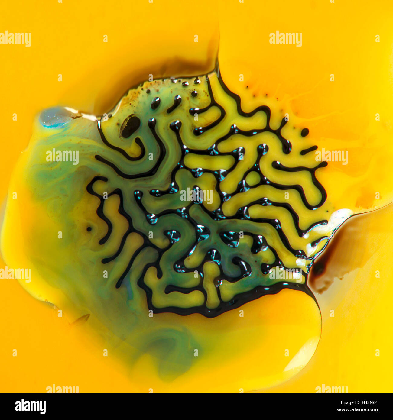 Magnetic fluid -Fotos und -Bildmaterial in hoher Auflösung – Alamy