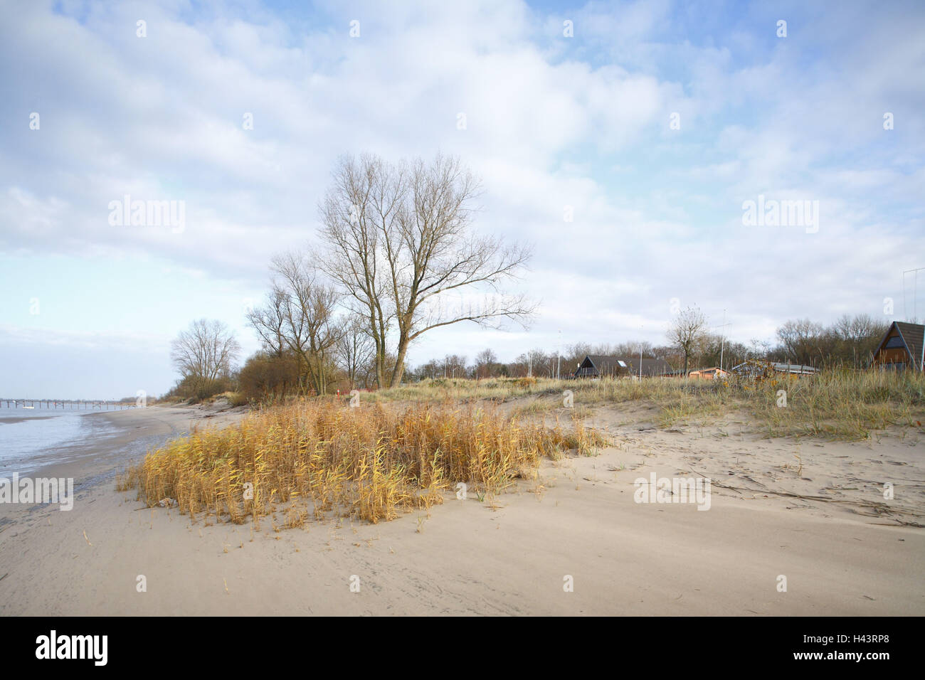 Weser Insel Harriersand, Strand, Fluss Weser Stockfotografie - Alamy