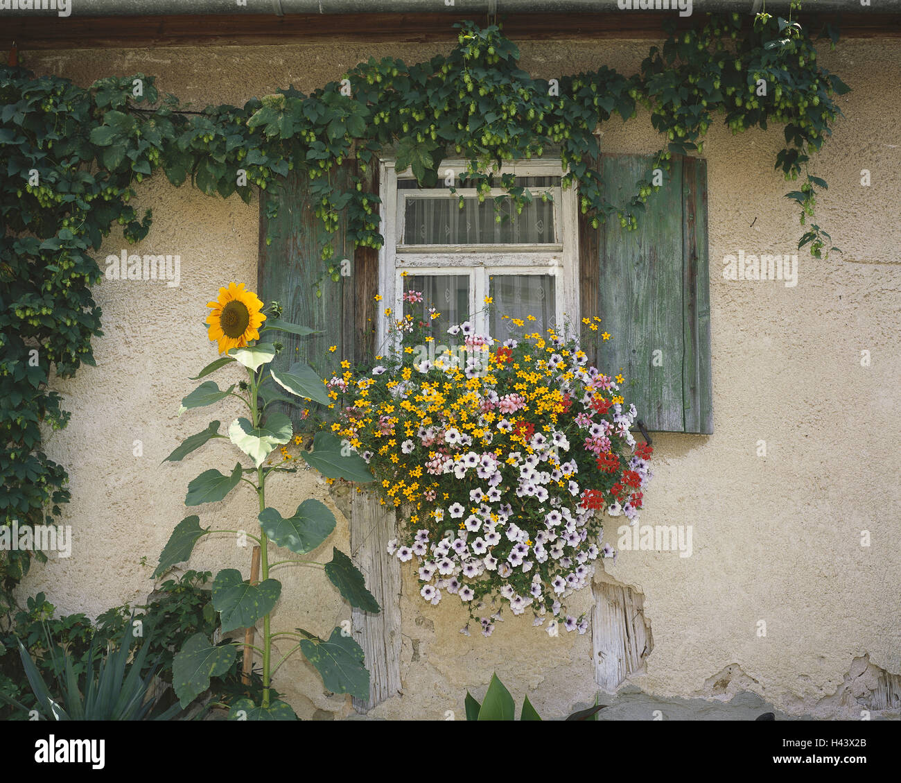 Franken bauernhaus -Fotos und -Bildmaterial in hoher Auflösung – Alamy