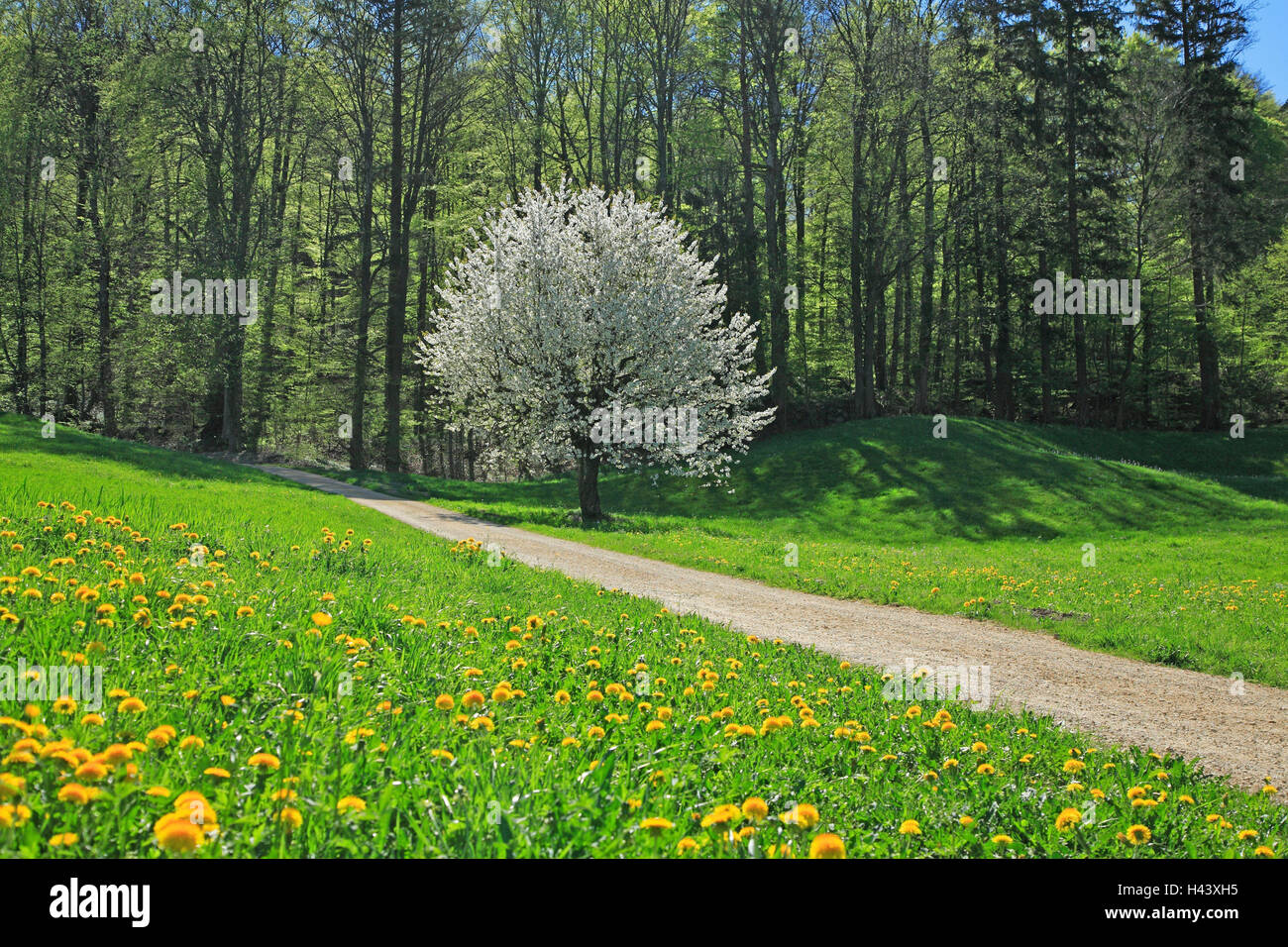 Basel scenery -Fotos und -Bildmaterial in hoher Auflösung – Alamy