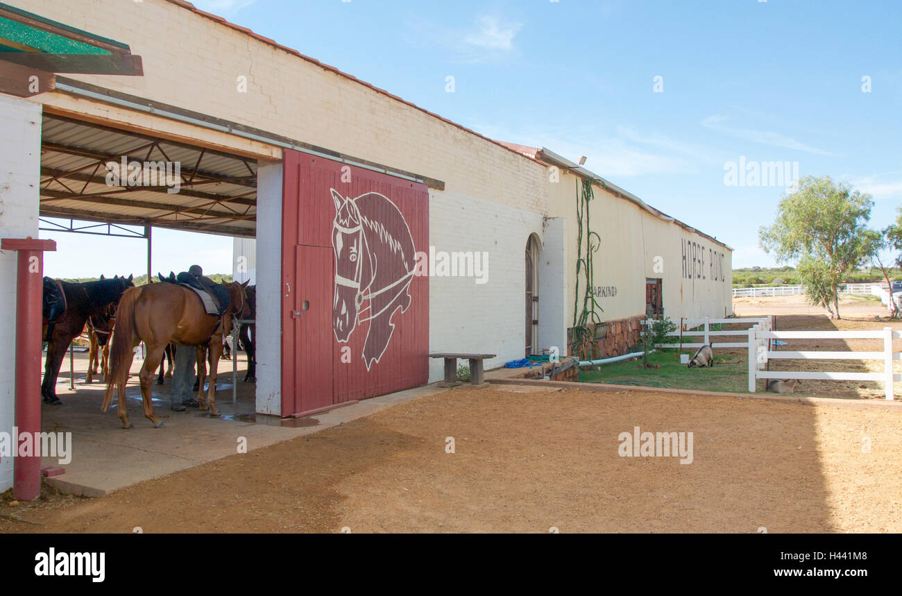 Horse ranch australia -Fotos und -Bildmaterial in hoher Auflösung – Alamy