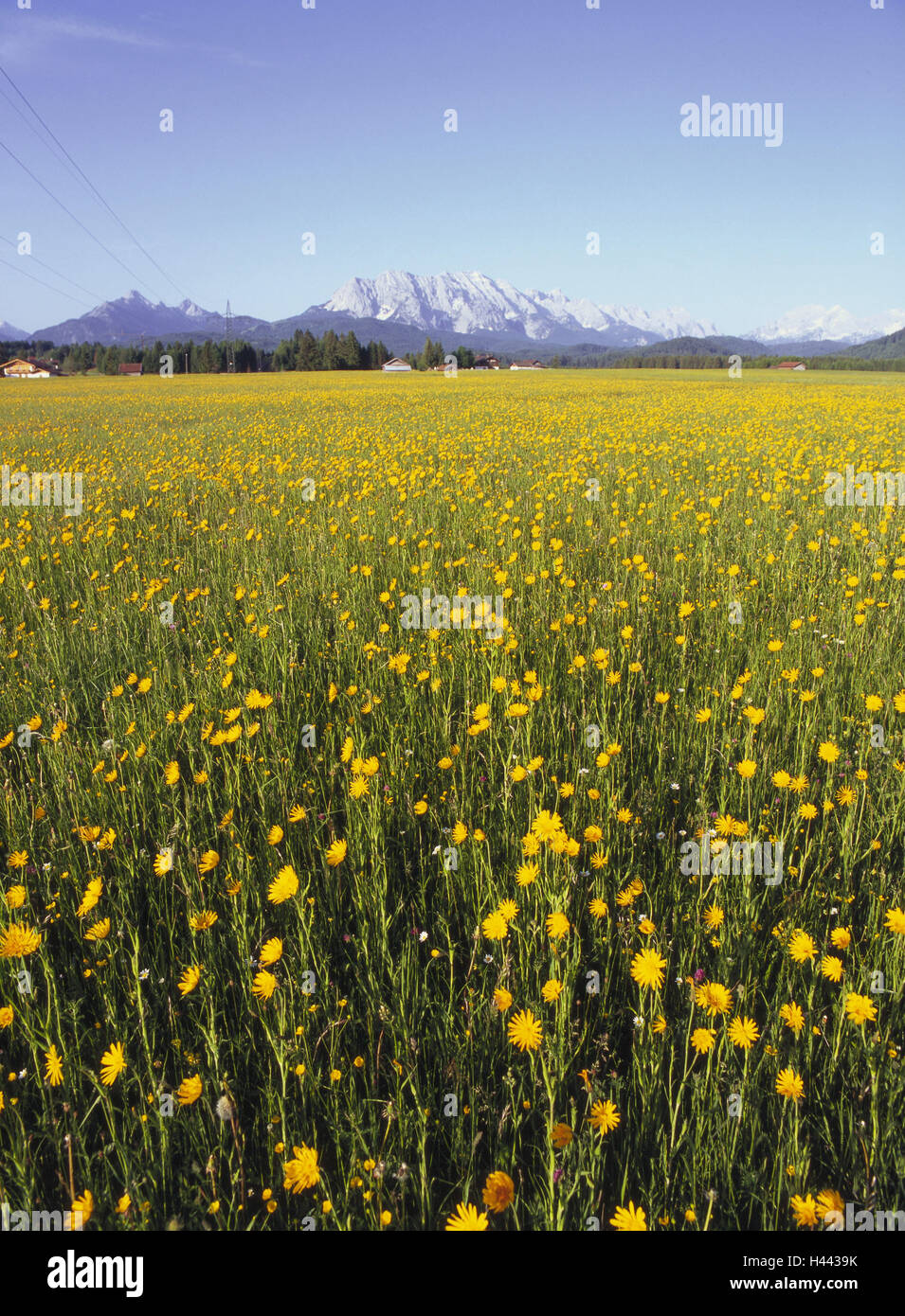 Deutschland, Bayern, Alp Welt Karwendel, Landschaft, Buckel Wiesen ...