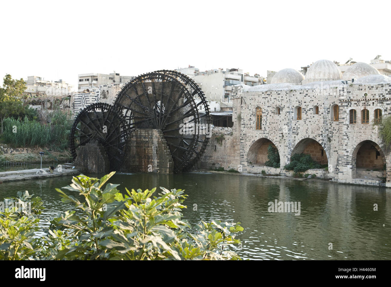 Hama waterwheel noria syria -Fotos und -Bildmaterial in hoher Auflösung ...