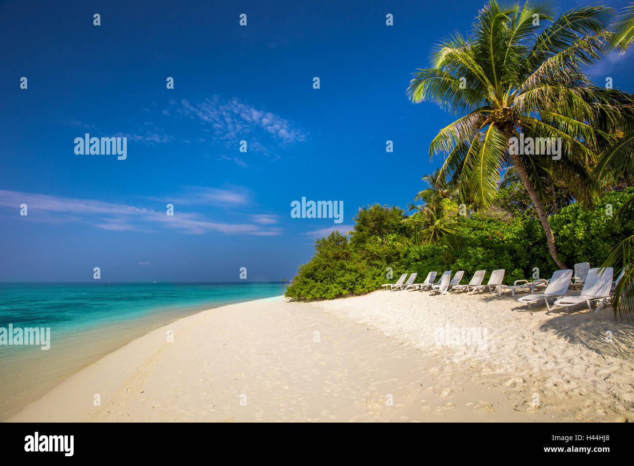 Strand und palmen -Fotos und -Bildmaterial in hoher Auflösung – Alamy
