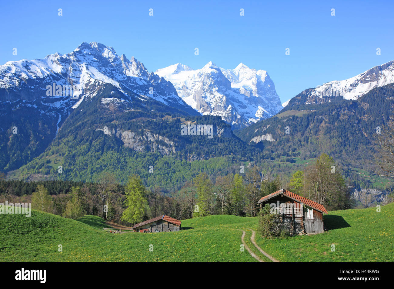 Schweiz, Kanton Bern, Berg Hasli, Berglandschaft, Frühling, Berge ...
