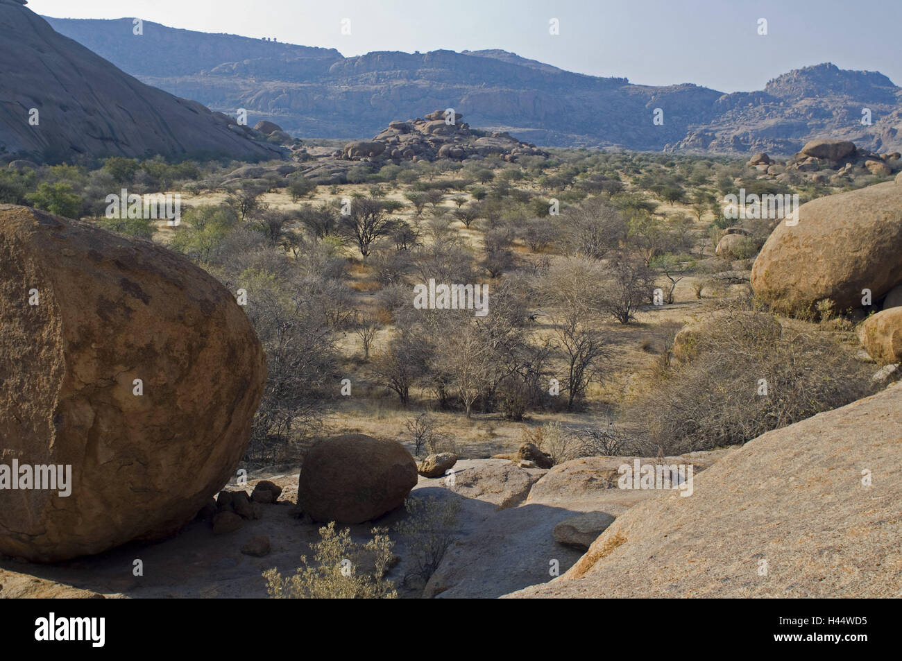 Afrika, Namibia, Erongogebirge, farm Ameib, Bull's Party ...
