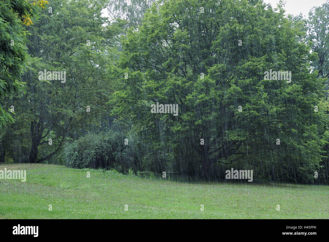 Natur regnet -Fotos und -Bildmaterial in hoher Auflösung – Alamy