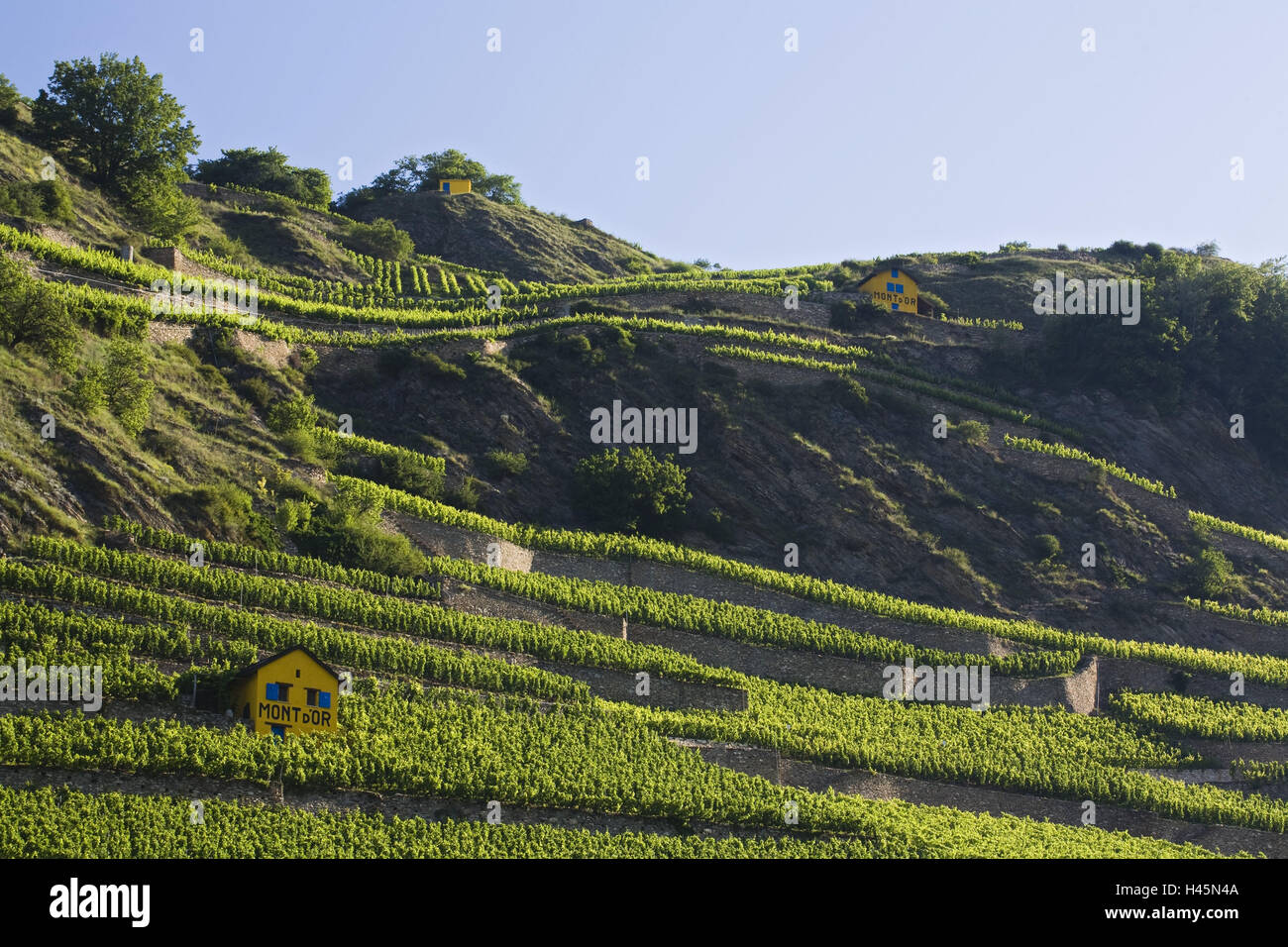 Switzerland valais sion -Fotos und -Bildmaterial in hoher Auflösung – Alamy