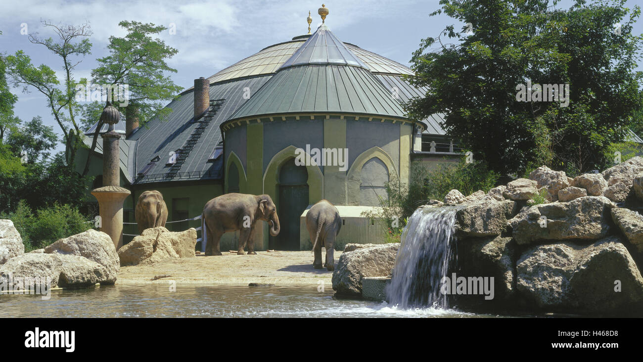 Deutschland, Bayern, München, Hellabrunn Zoo, Elefantenhaus, Gehäuse ...