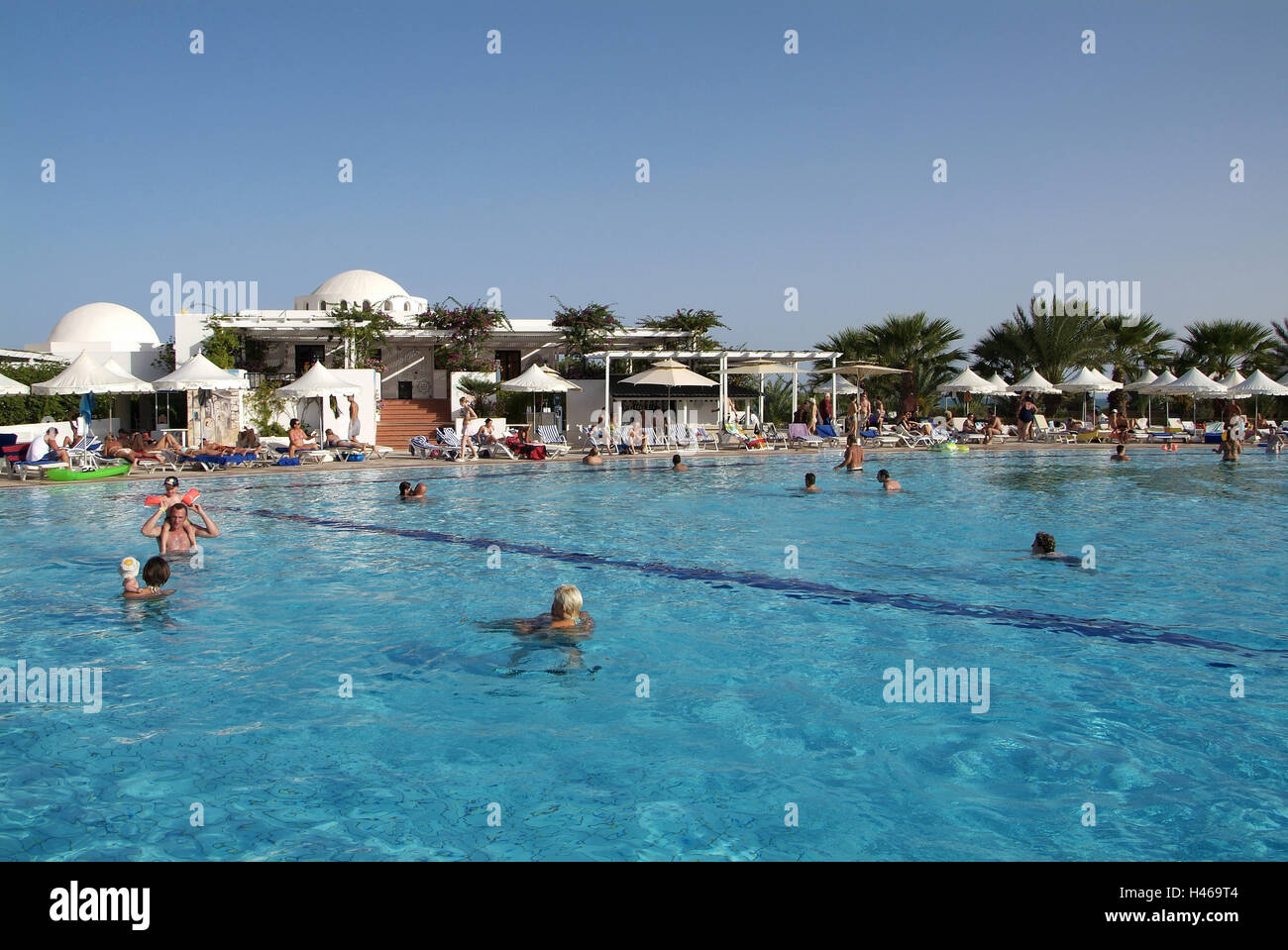 Pest de la seguia -Fotos und -Bildmaterial in hoher Auflösung – Alamy