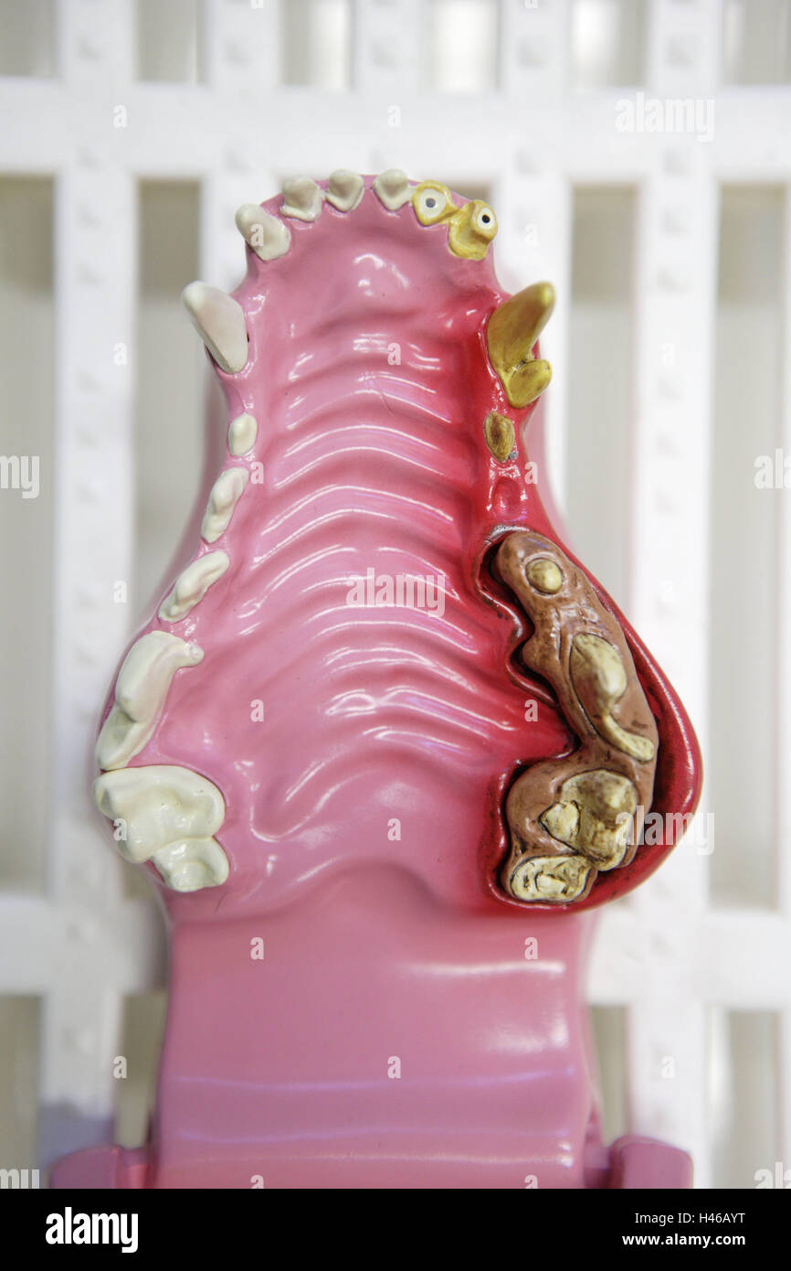 Biss Hund Stockfotos und -bilder Kaufen - Alamy