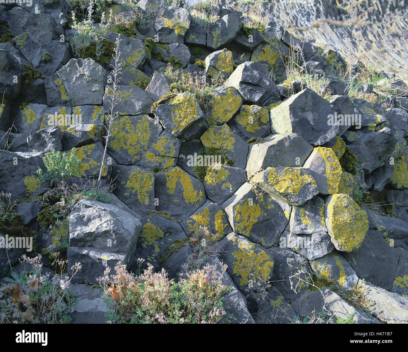 Pillars of basalt -Fotos und -Bildmaterial in hoher Auflösung – Alamy
