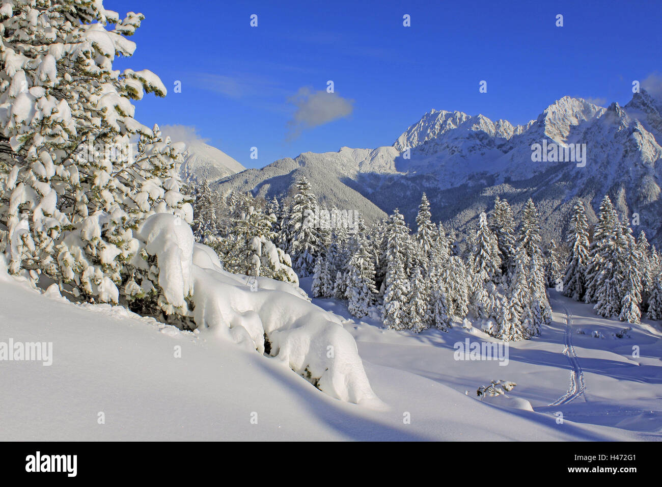 Deutschland, Oberbayern, Mittenwald, Kranzberg, Blick Karwendel, winter ...
