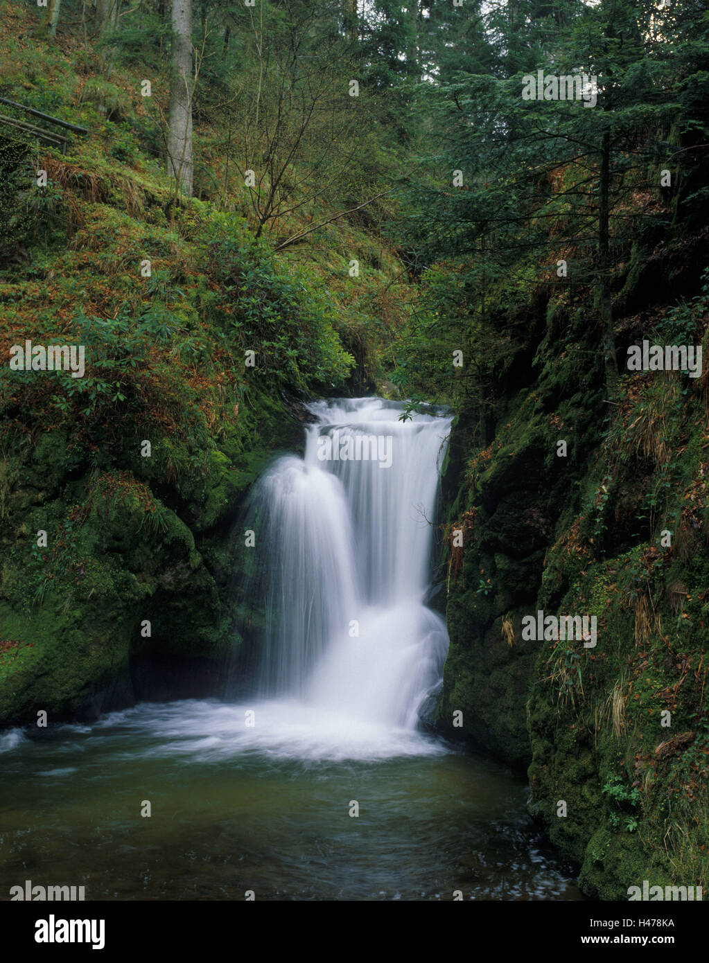 Deutschland, Baden-Württemberg, Schwarzwald, Baden-Baden Geroldsau ...