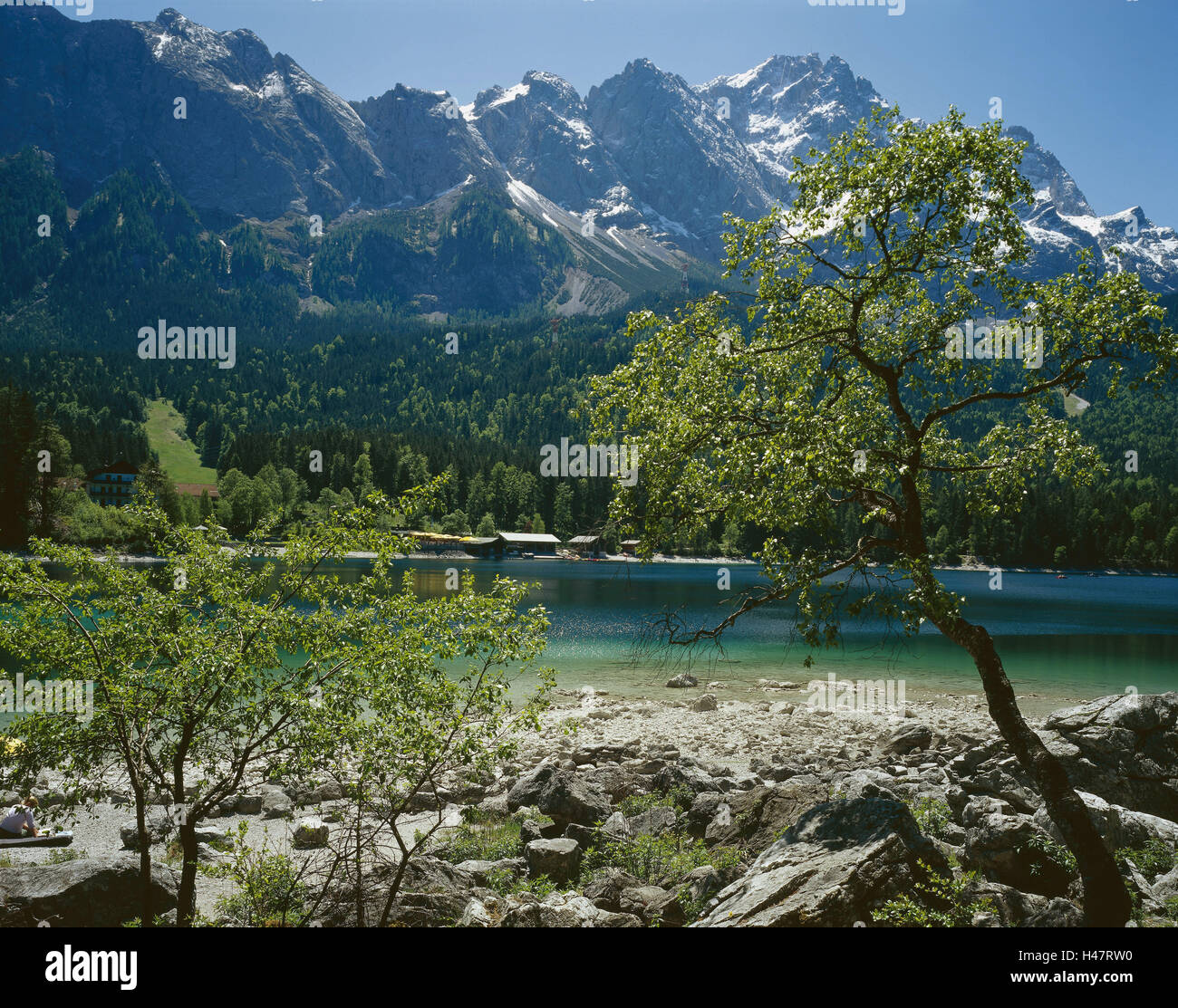 Deutschland, Oberbayern, Eibsee, Zugspitze, Bäume, Süddeutschland ...