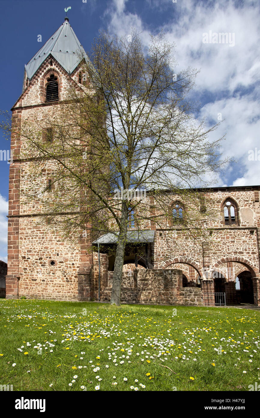 Deutschland, Hessen, Nordhessen, Schwalmstadt-Treysa, Friedhof Kirche ...