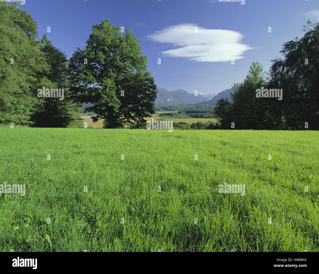 Murnauer Moos Stockfotos & Murnauer Moos Bilder - Seite 3 - Alamy