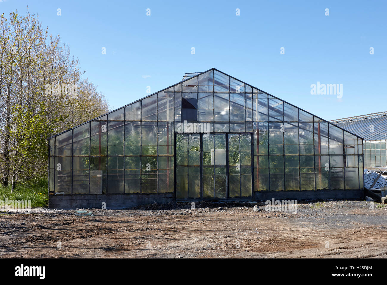 Islander vegetables -Fotos und -Bildmaterial in hoher Auflösung – Alamy