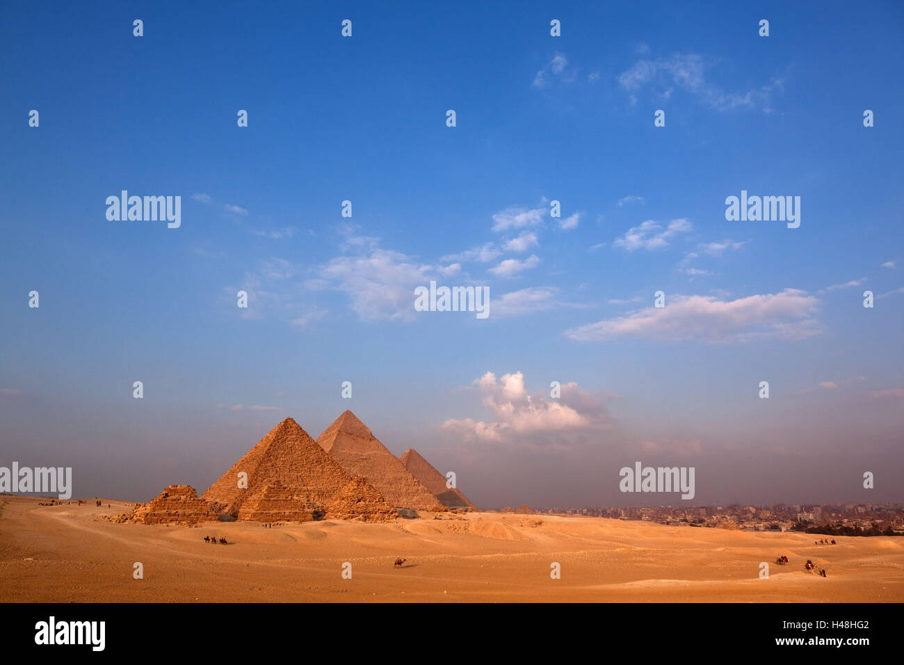 Ägypten, Kairo, Pyramiden von Gizeh, Abendlicht Stockfotografie - Alamy