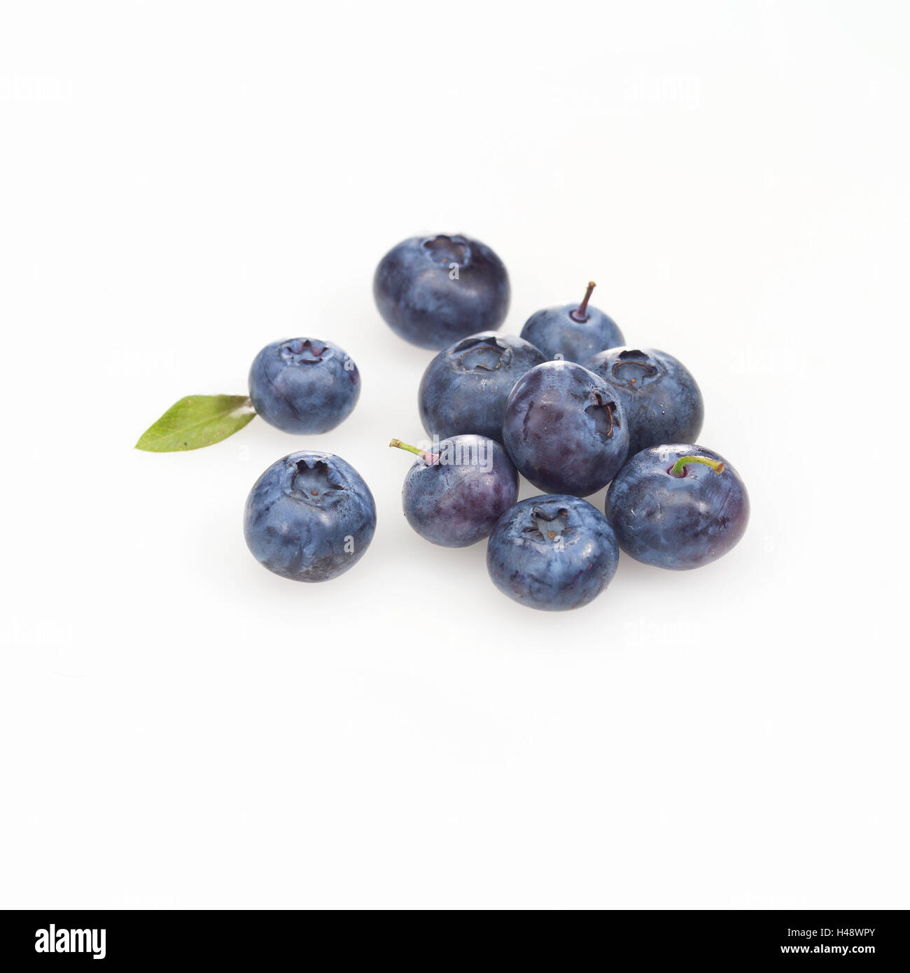 Heidelbeeren wald -Fotos und -Bildmaterial in hoher Auflösung – Alamy