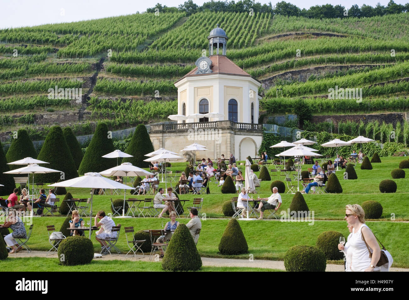 Schloss Wackerbarth, Barockgarten, Weinberge, Radebeul, Sachsen ...