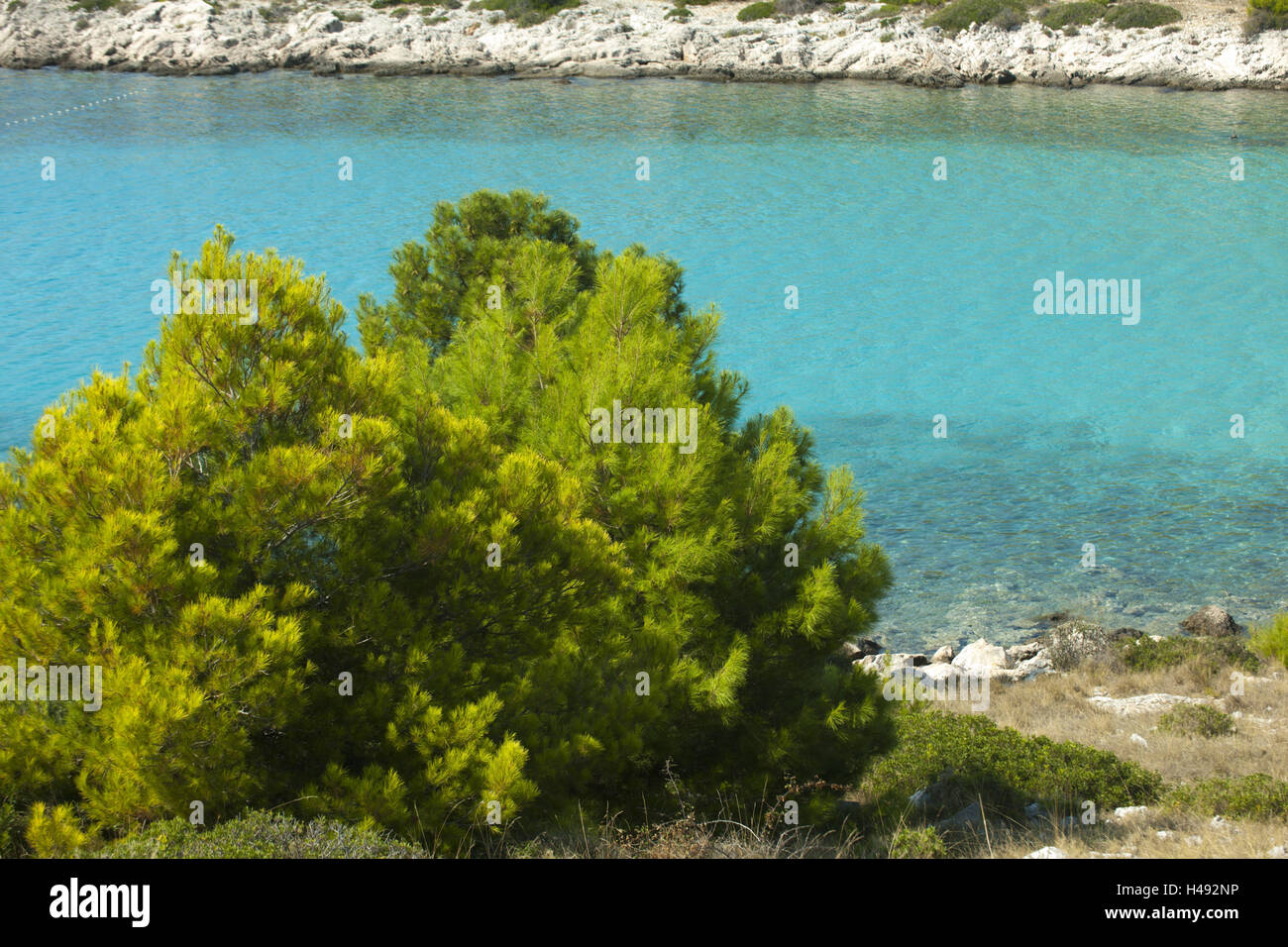 Spiaggia di levrnaka -Fotos und -Bildmaterial in hoher Auflösung – Alamy