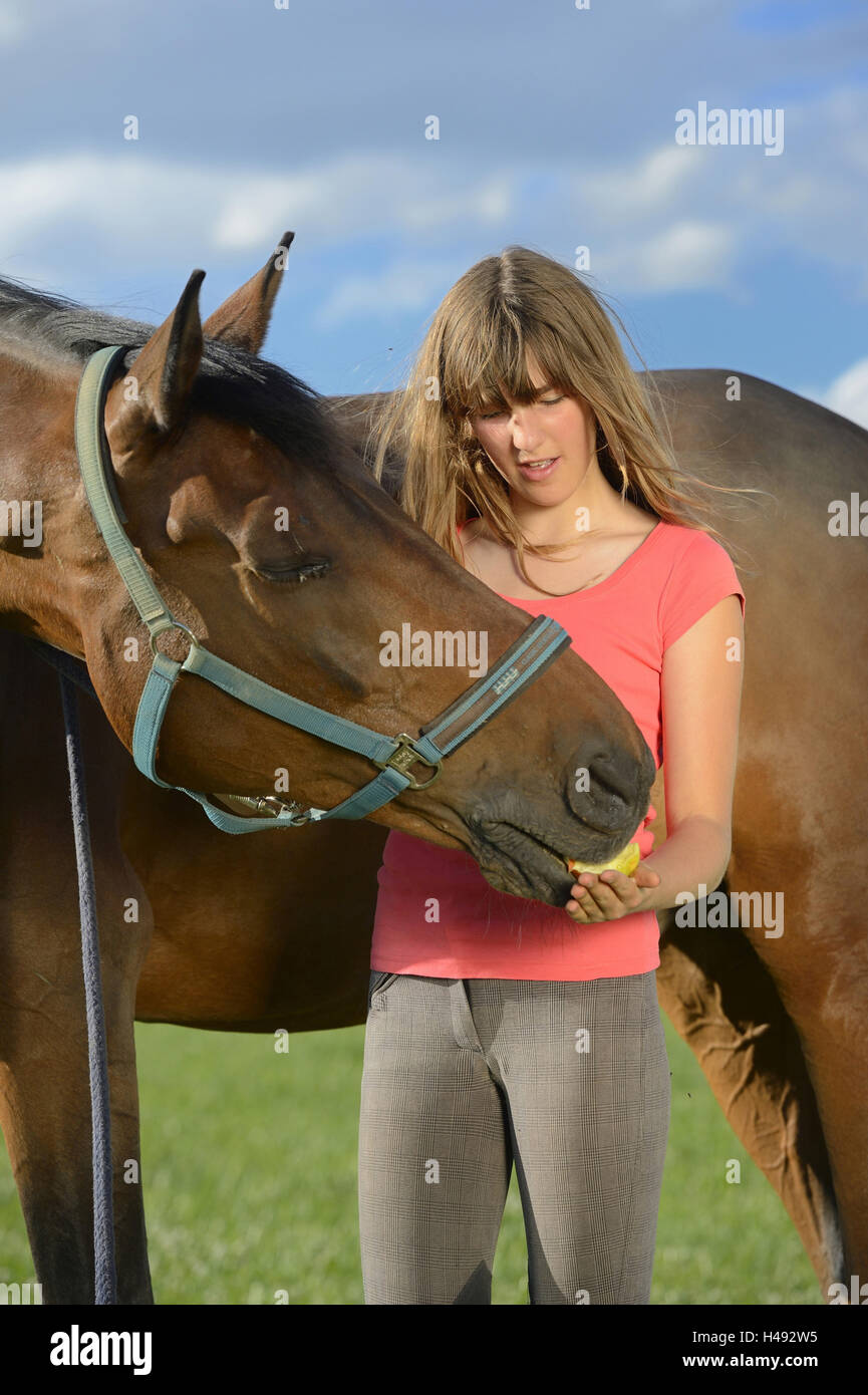 Mädchen, Reiter, Pferd, Futter, halbe Portrait Stockfotografie - Alamy