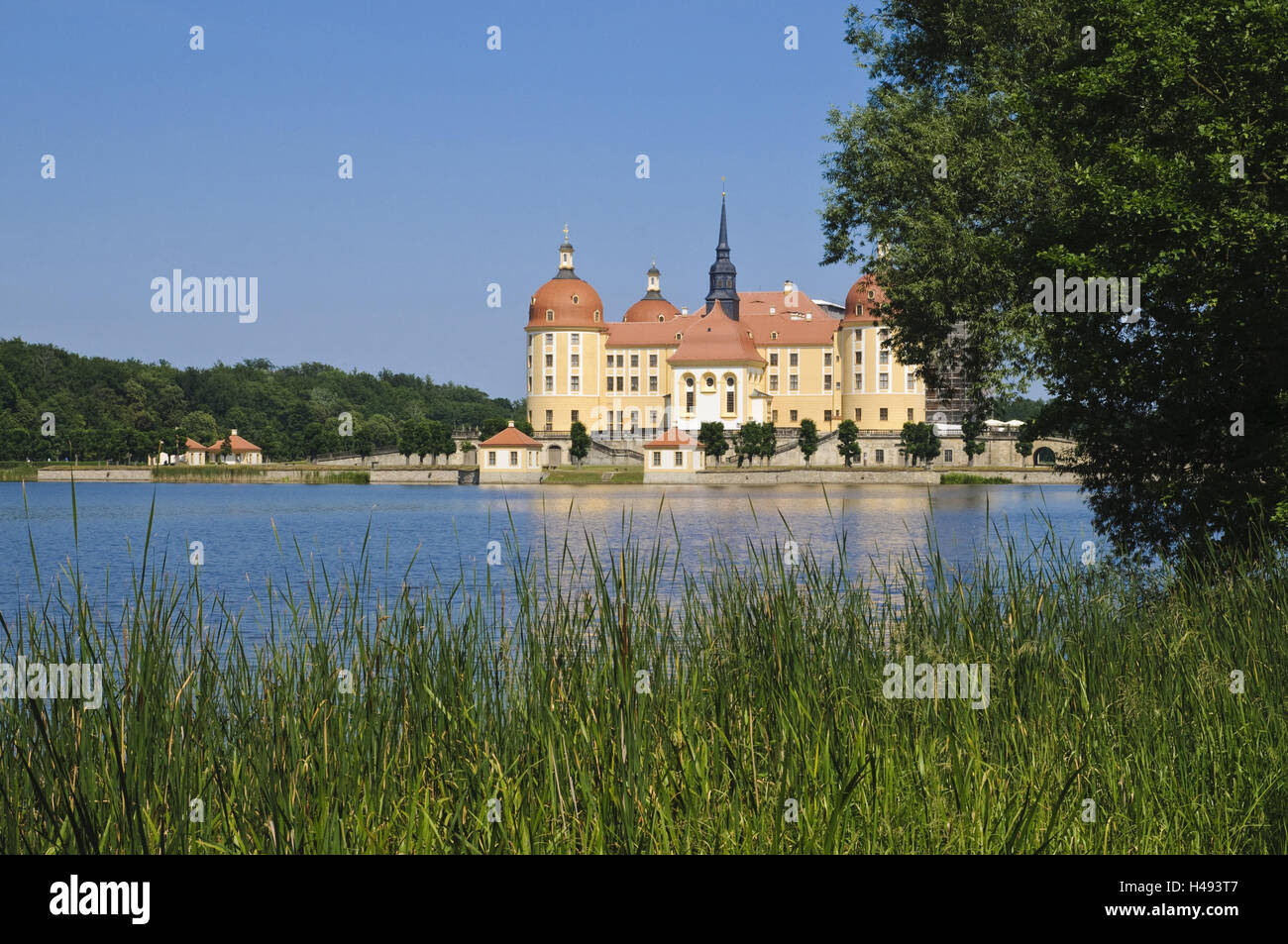 Schloss Moritzburg, Schloßteich, Sachsen, Deutschland Stockfotografie ...